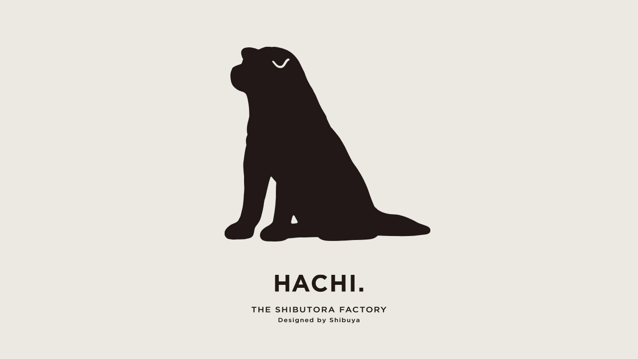 HACHI. The SHIBUTORA Factory｜WORKS｜POOL inc.